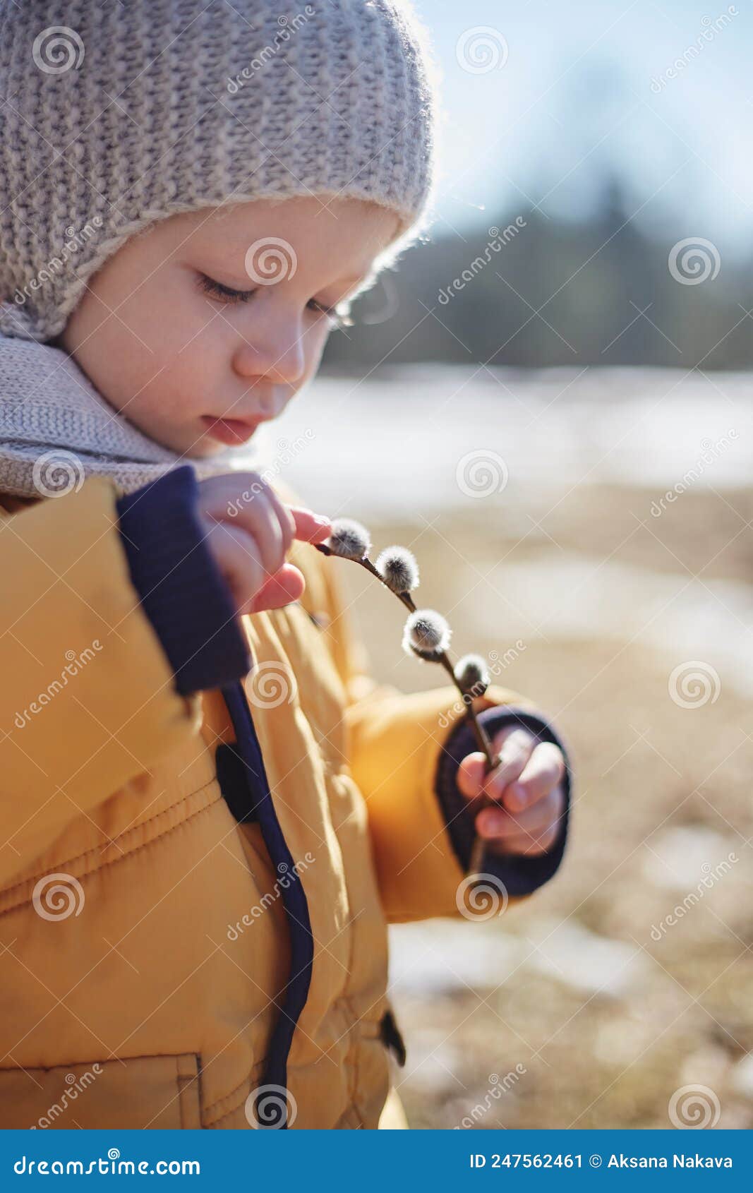 A Little Boy Studies a Tree Branch with Budding Buds Stock Image ...