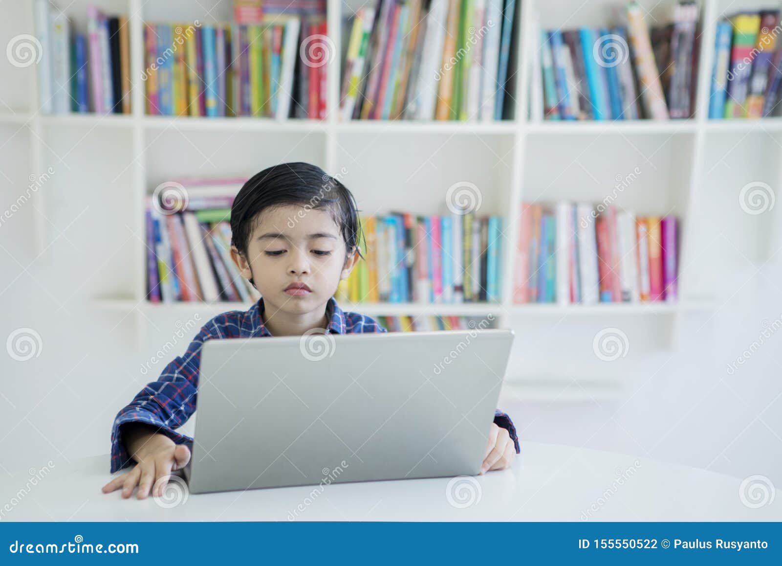 Little Boy Studying with a Laptop in the Library Stock Photo - Image of ...