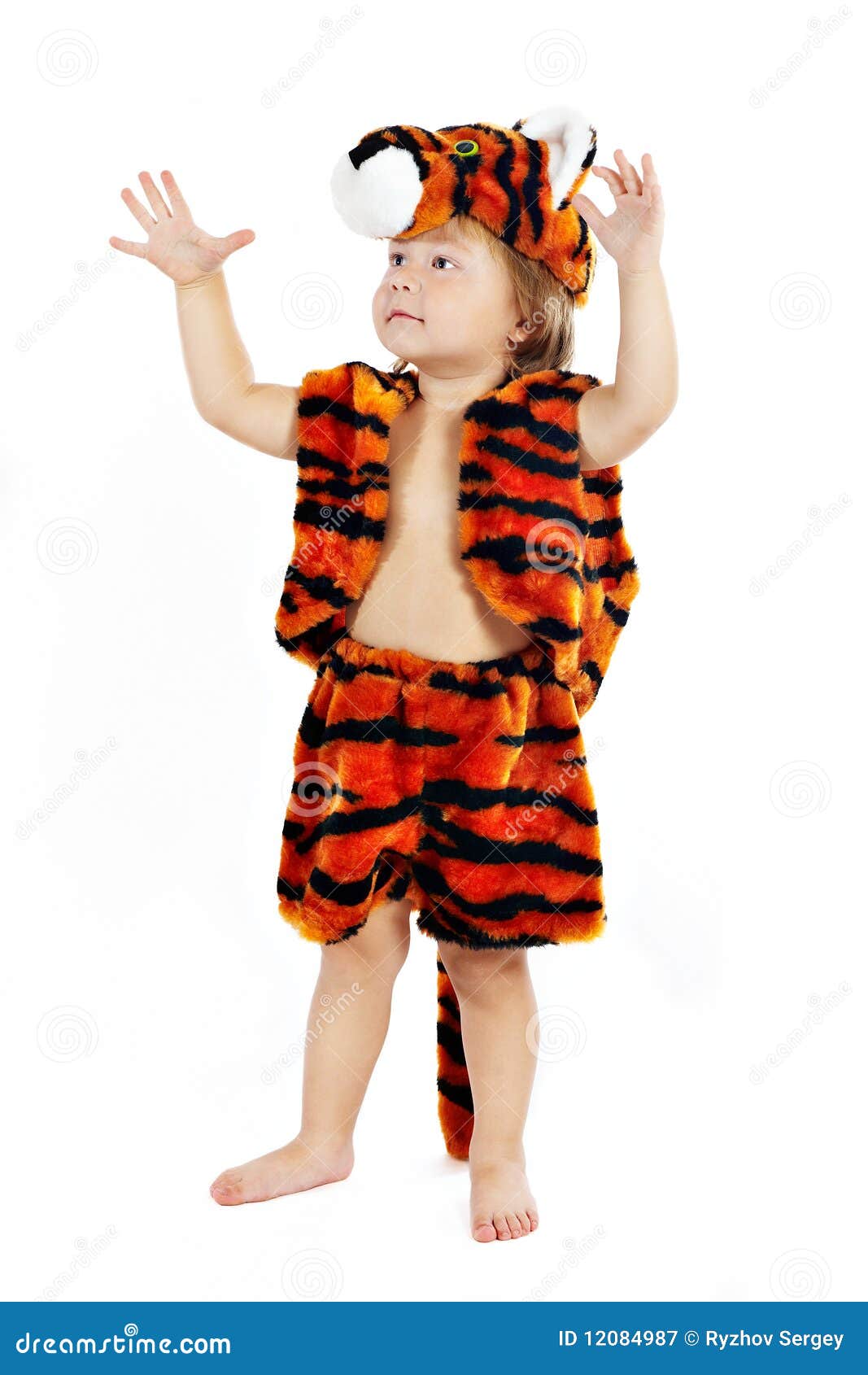 The Little Boy in a Suit of a Tiger Stock Image - Image of striped ...