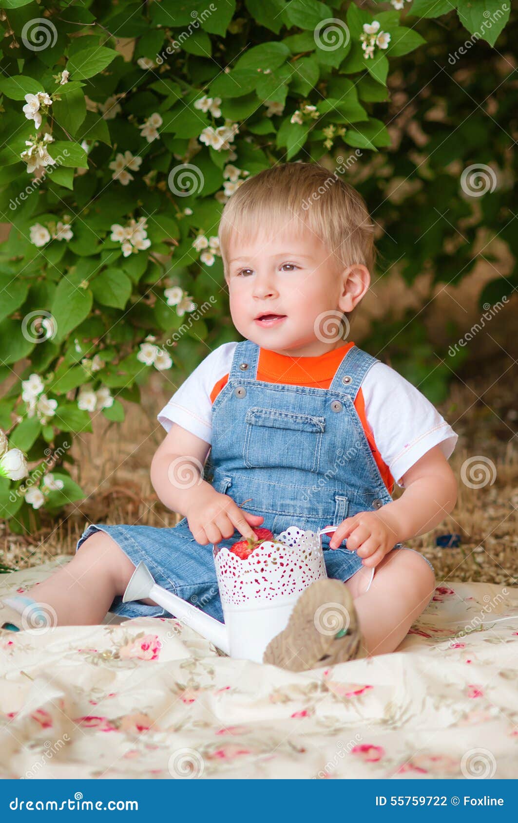 Little Boy in the Summer with Strawberries Stock Photo - Image of child ...