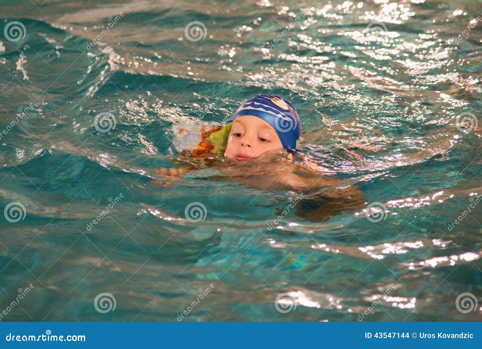 Little Boy in the Swimming Pool Stock Photo - Image of children, child ...