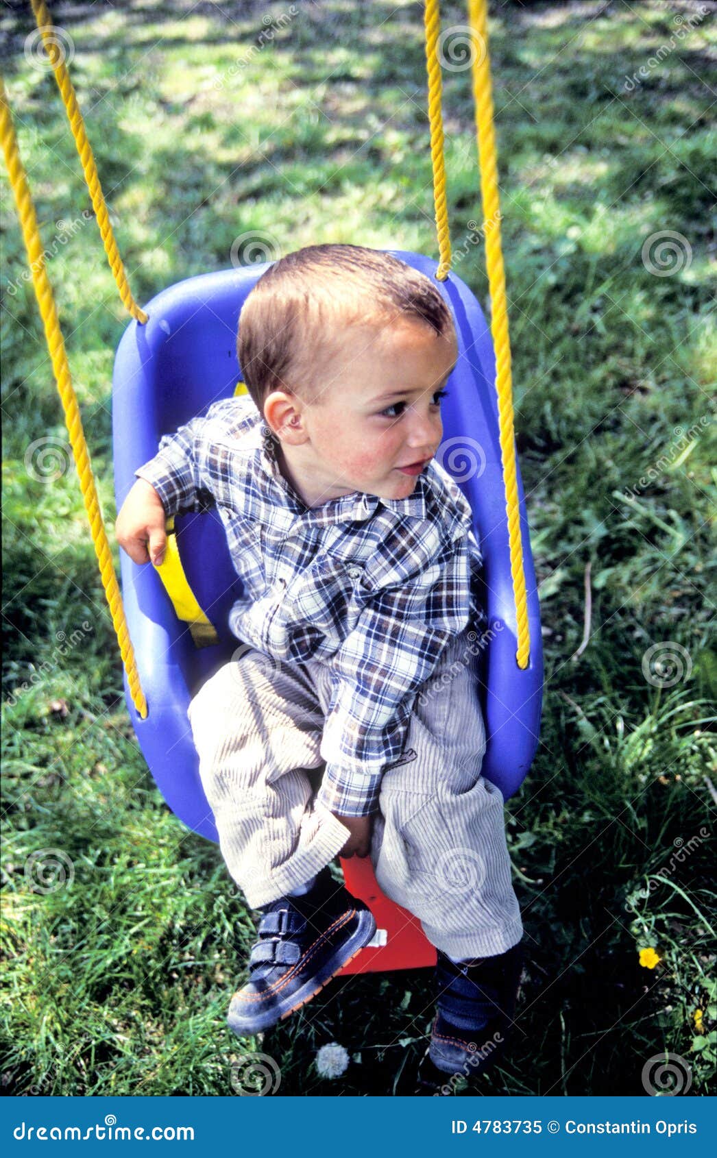 Little boy on a swing stock image. Image of little, cute - 4783735