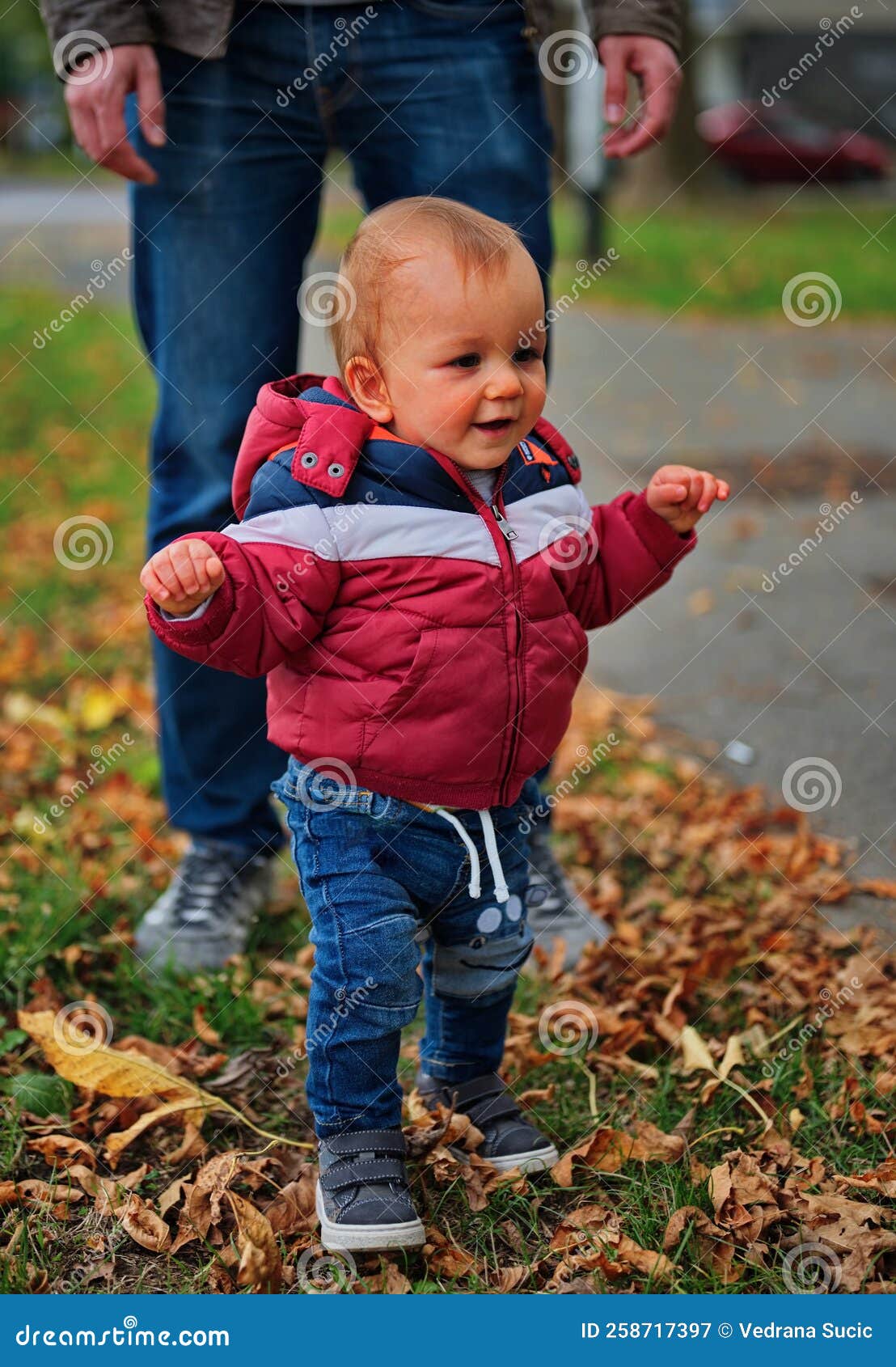 Little Boy Taking His First Steps Stock Image - Image of foliage ...
