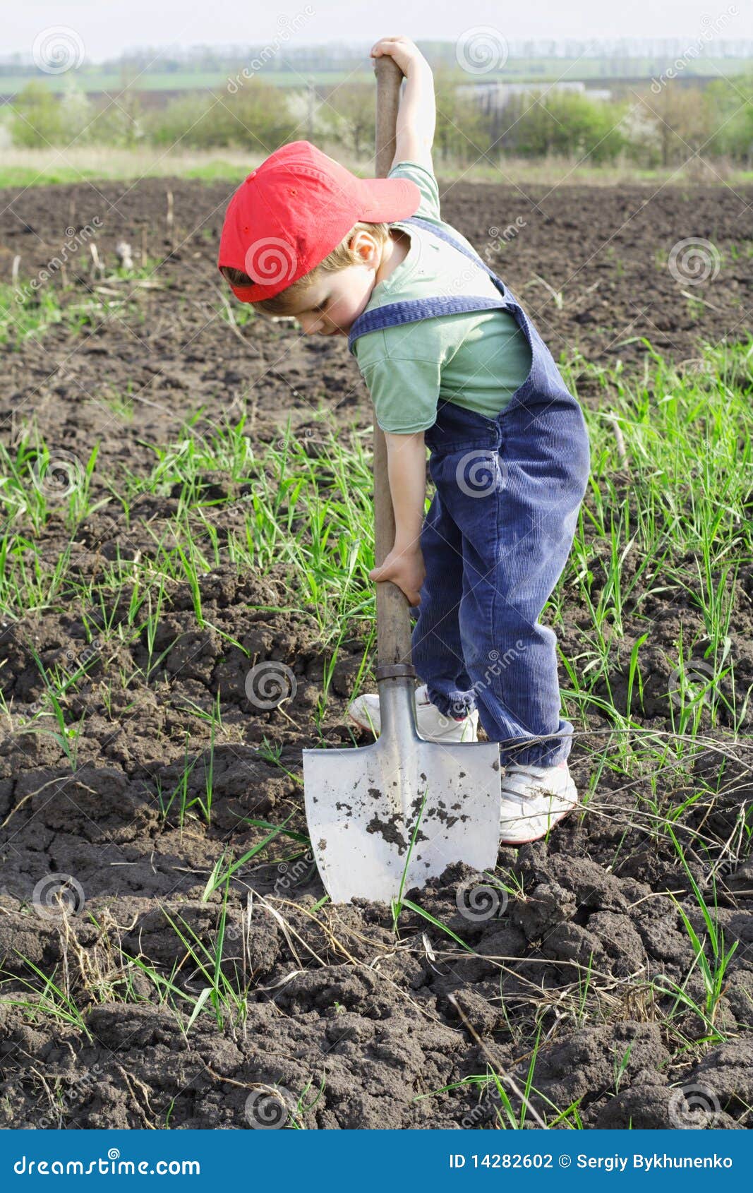 Little Boy To Dig with Big Shovel Stock Photo - Image of helping ...