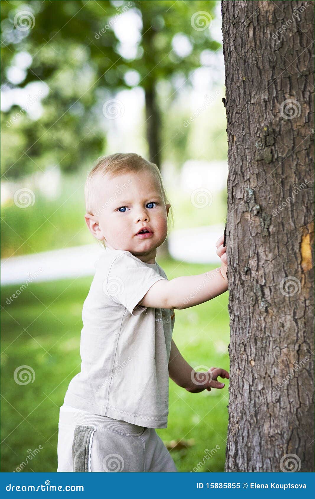 Little boy and tree stock image. Image of green, precious - 15885855