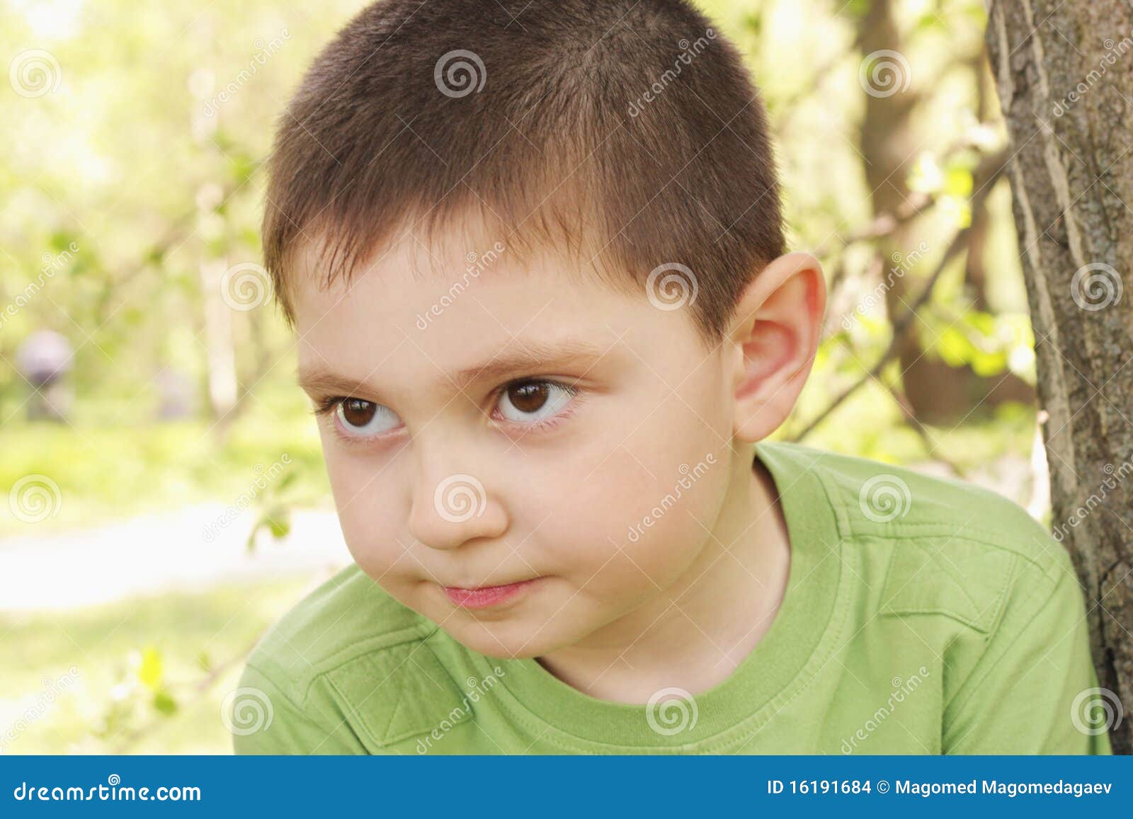 Little boy at tree stock photo. Image of child, caucasian - 16191684