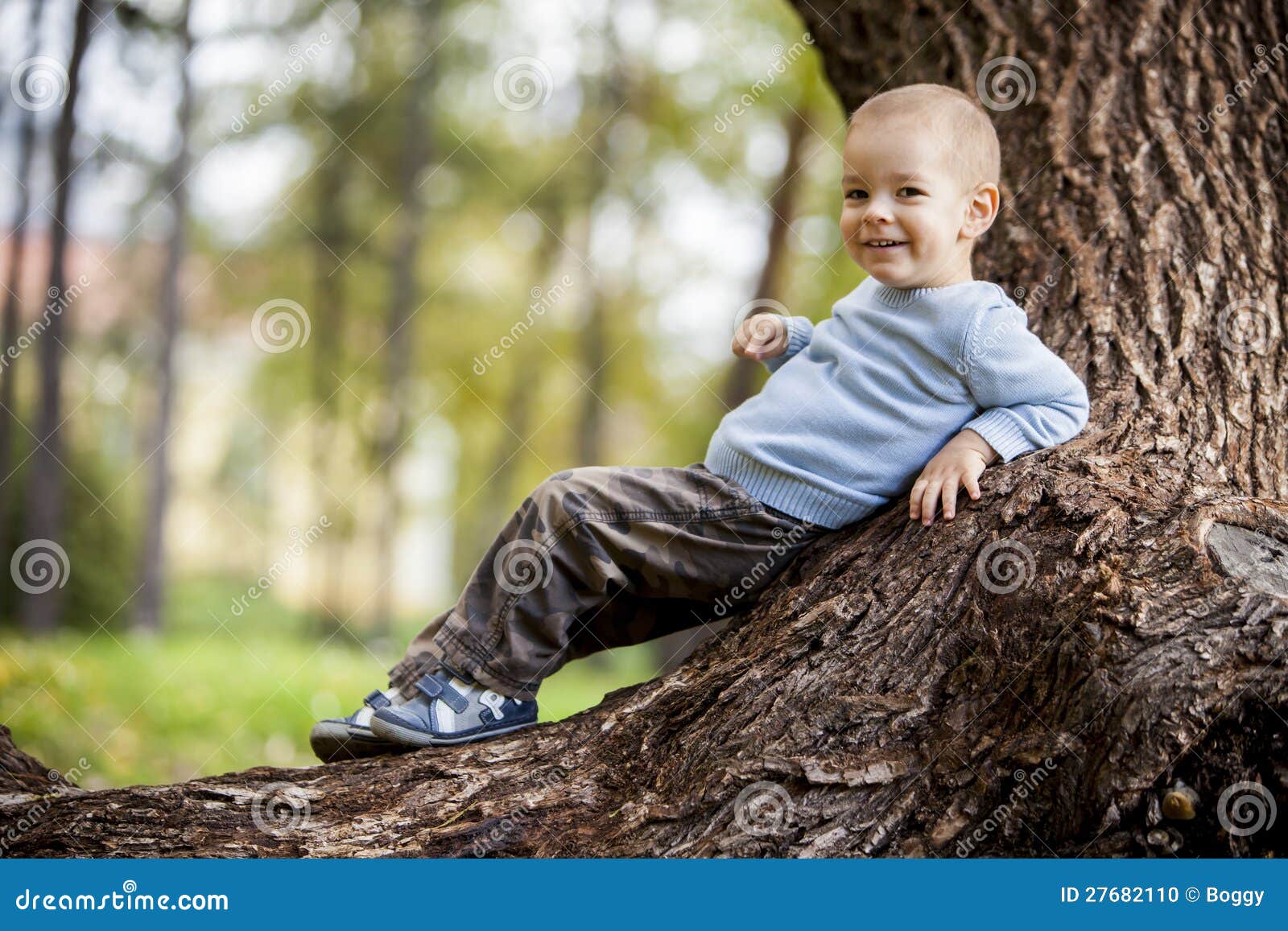 Little boy on the tree stock photo. Image of face, love - 27682110
