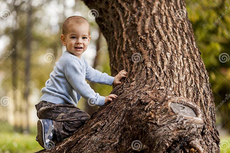 Little boy on the tree stock image. Image of climbing - 28484211