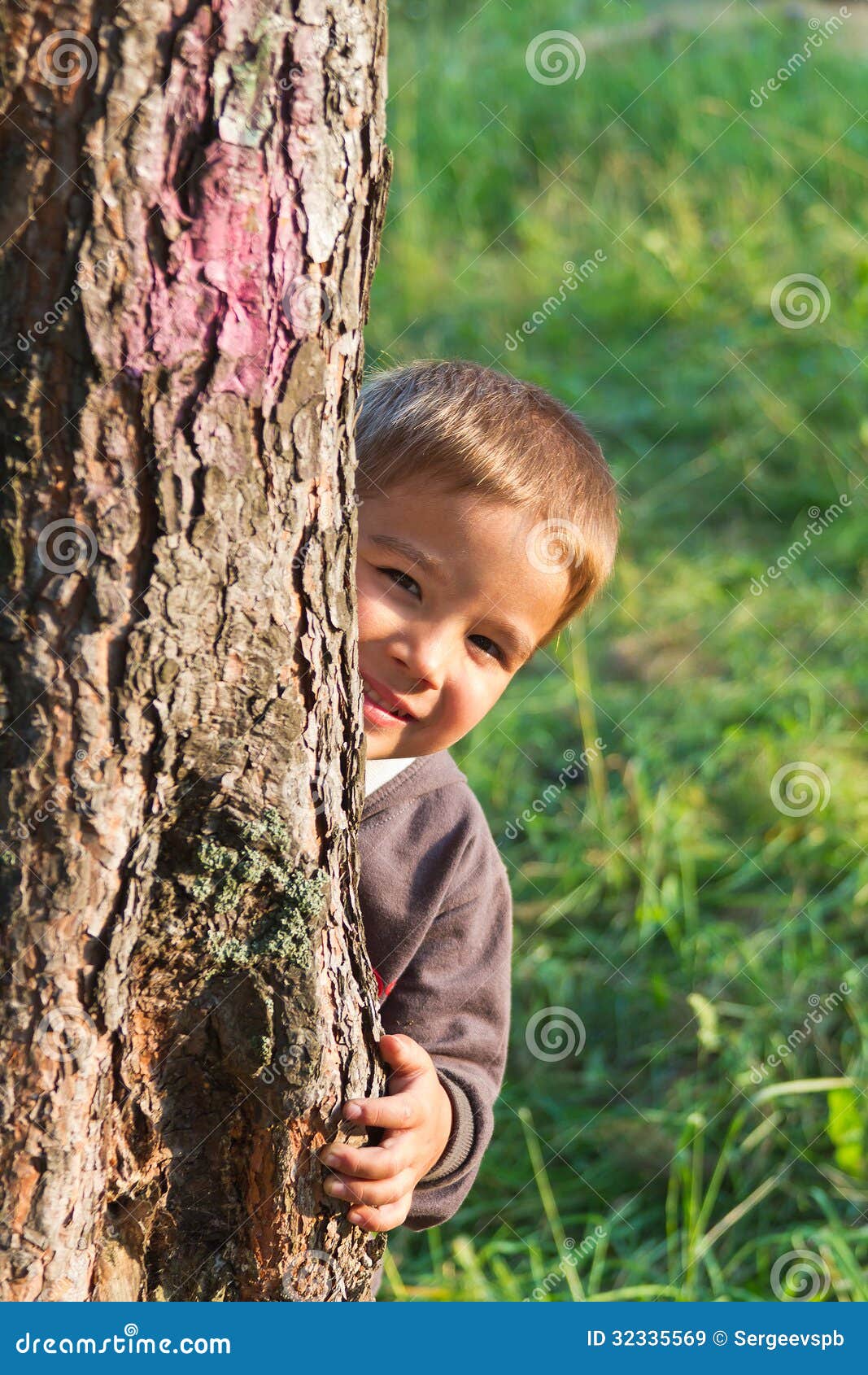 Little boy and a tree stock image. Image of recreation - 32335569
