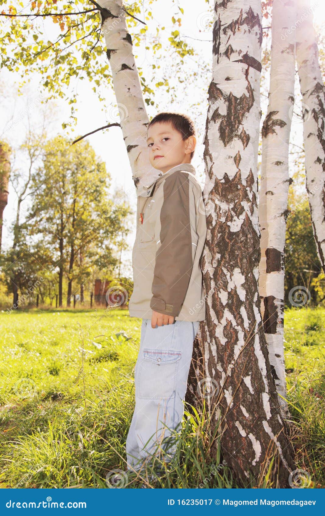 Little boy at tree in park stock image. Image of tree - 16235017