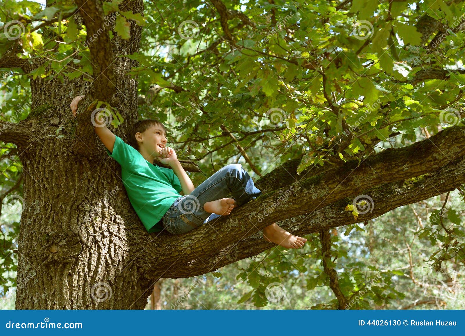 Little boy on tree stock photo. Image of lifestyle, human - 44026130