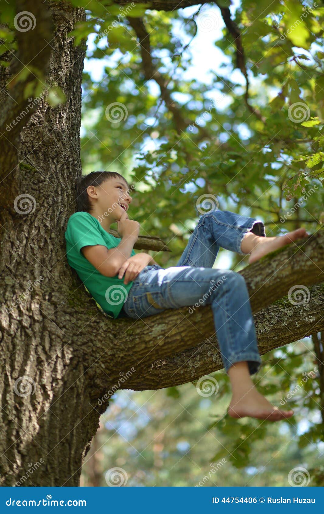 Little boy on tree stock photo. Image of young, lifestyle - 44754406