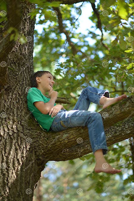 Little boy on tree stock photo. Image of young, lifestyle - 44754406