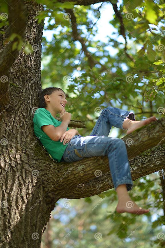 Little boy on tree stock photo. Image of young, lifestyle - 44754406