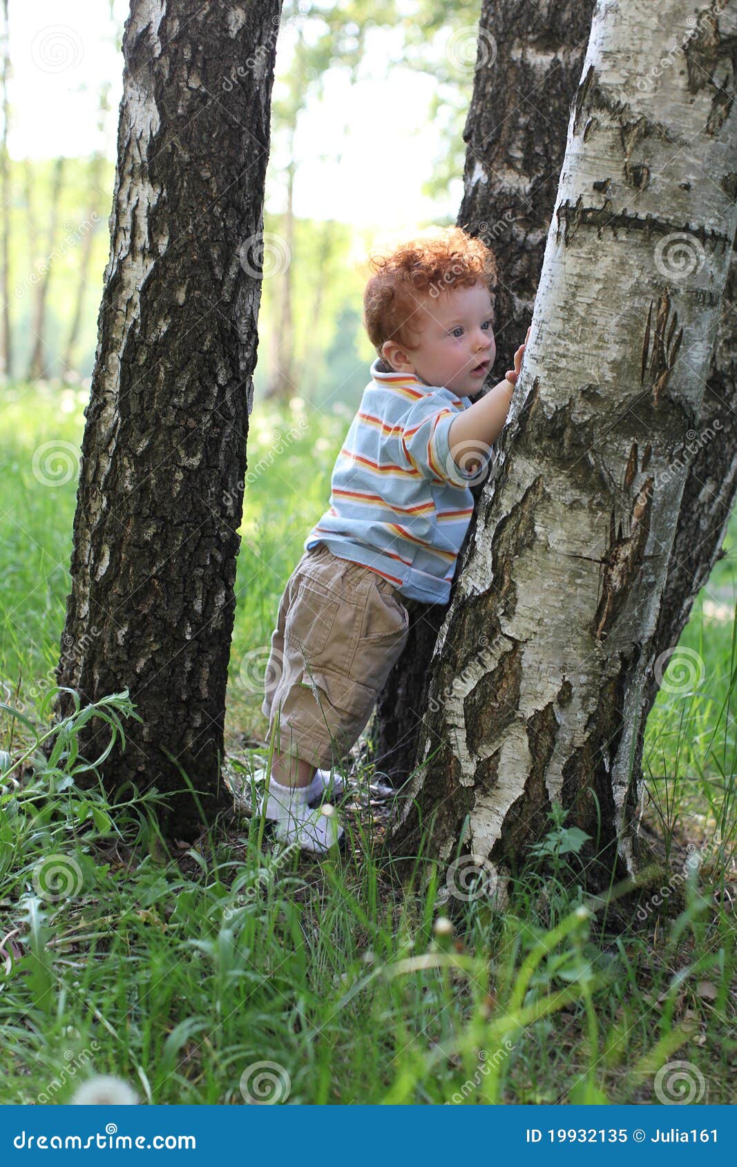 Little Boy Trying To Walk by Trees Stock Image - Image of birch, haired ...
