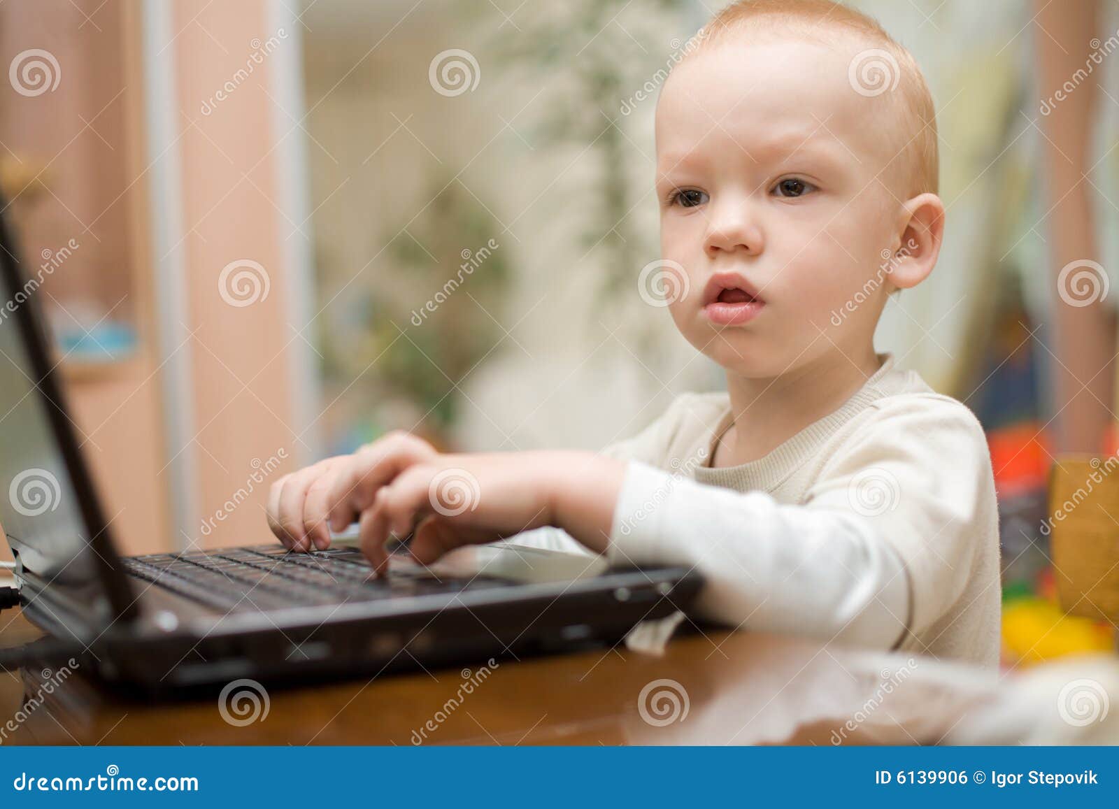 Little Boy Typing Text On Laptop At Home Picture. Image: 6139906