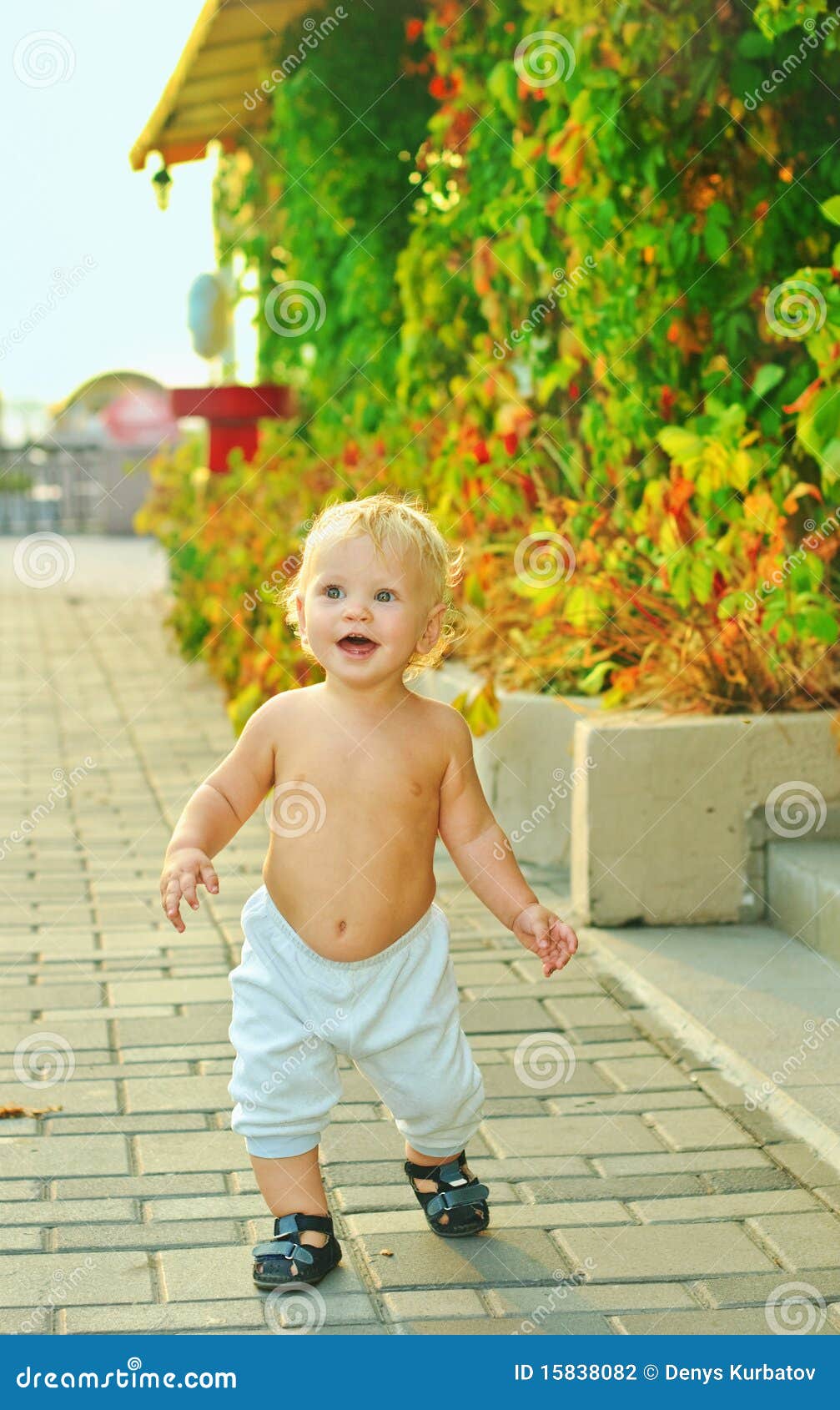 Little boy on the walk stock photo. Image of smile, green - 15838082