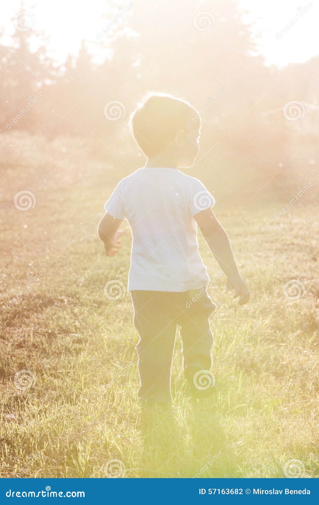 Little boy walking stock photo. Image of outdoor, meadow - 57163682