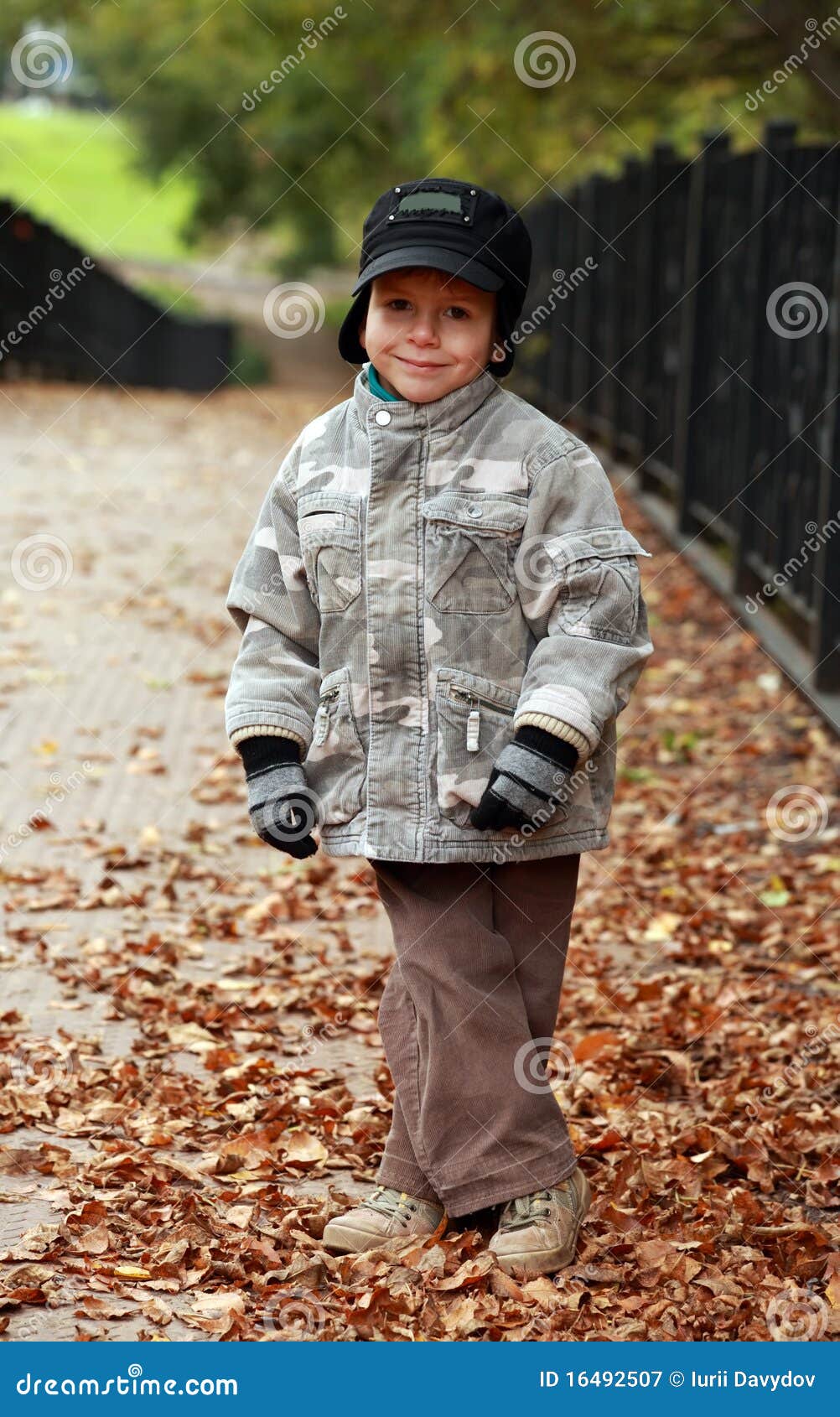 Little Boy Walking in Autumn Park Stock Image - Image of attractive ...