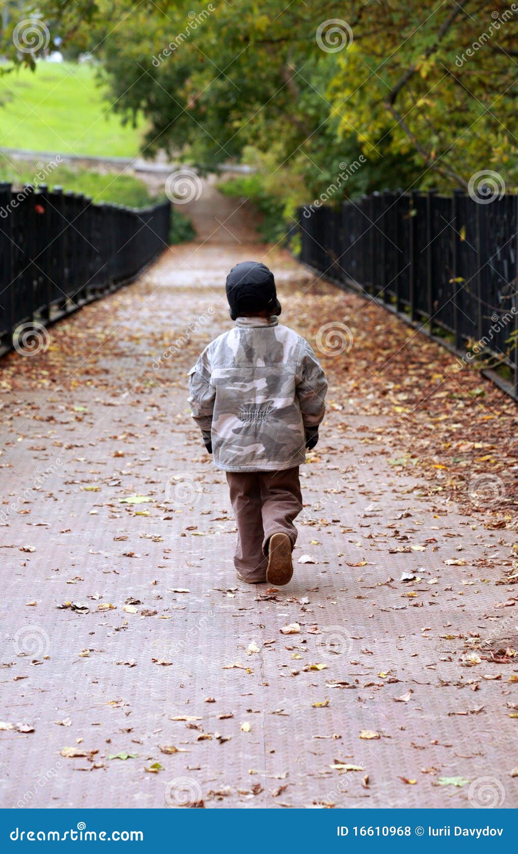 Little Boy Walking in Autumn Park Stock Photo - Image of leaf, bridge ...