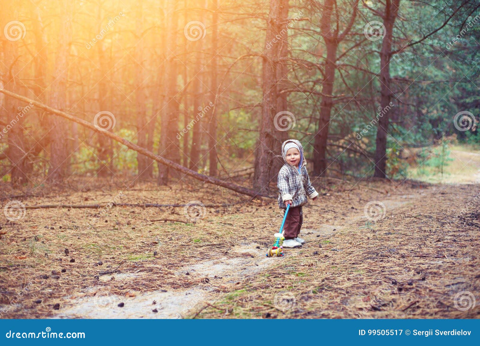 Little Boy Walking in the Forest Stock Image - Image of sunlight ...