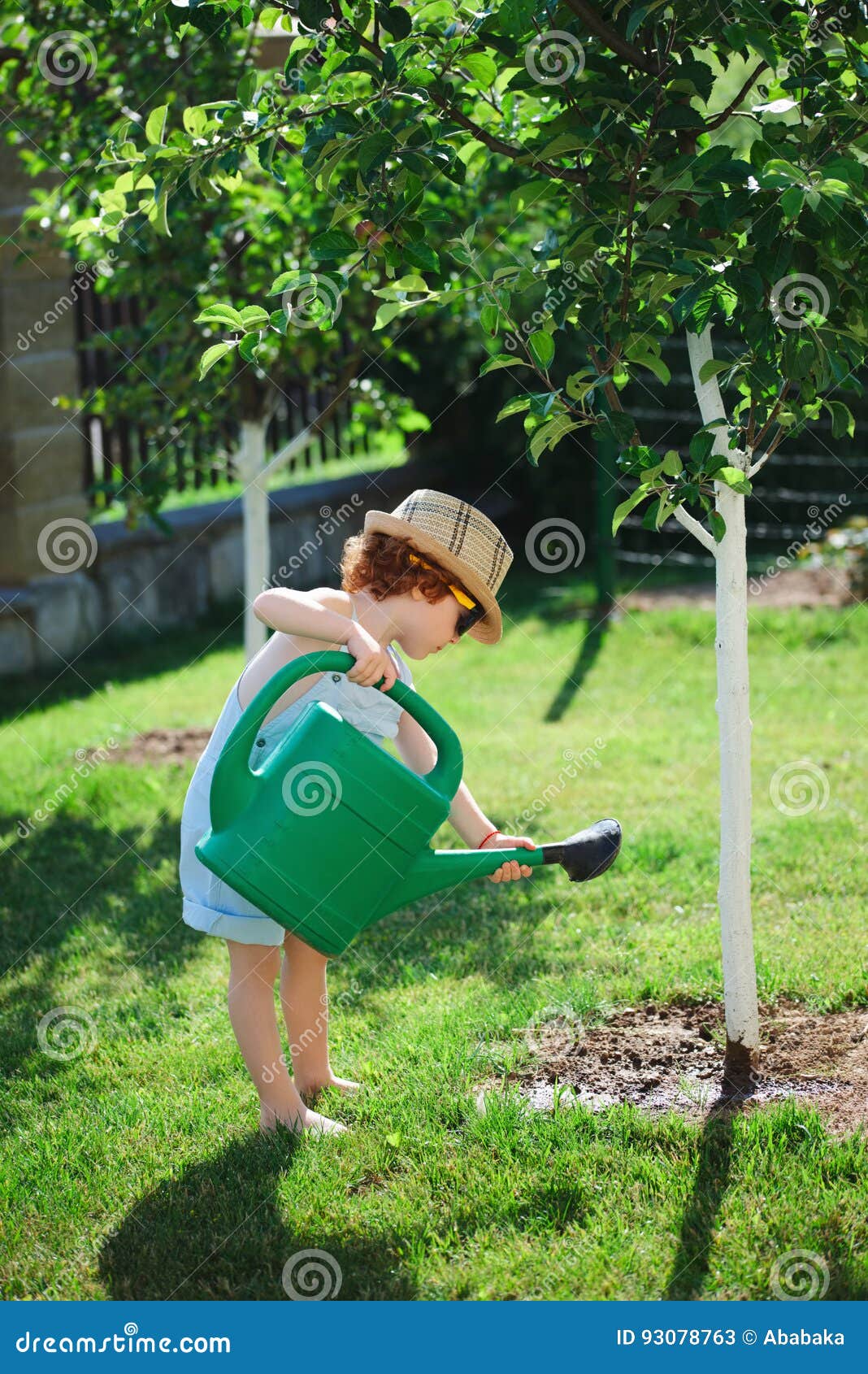 Little Boy Watering Trees in Summer Garden Stock Image - Image of blue ...