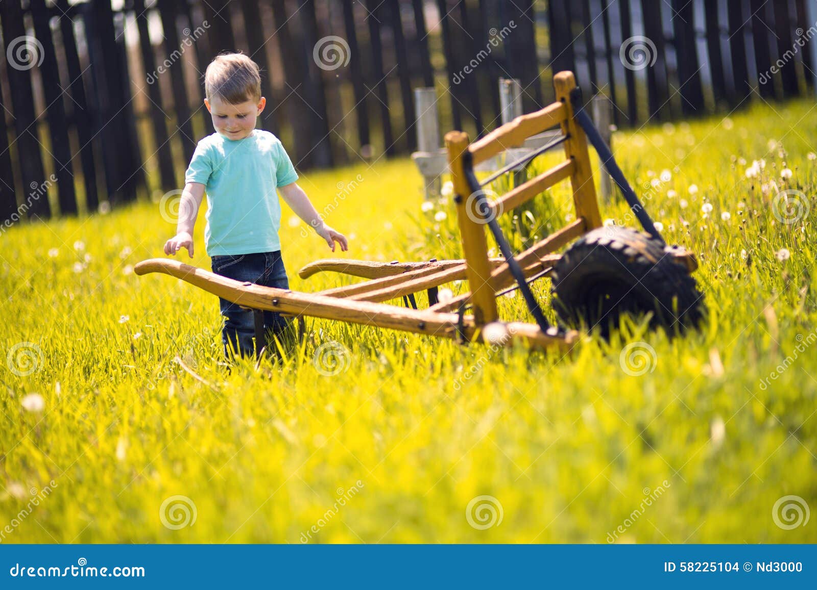 Little Boy Working in the Fields Stock Photo - Image of child, orange ...