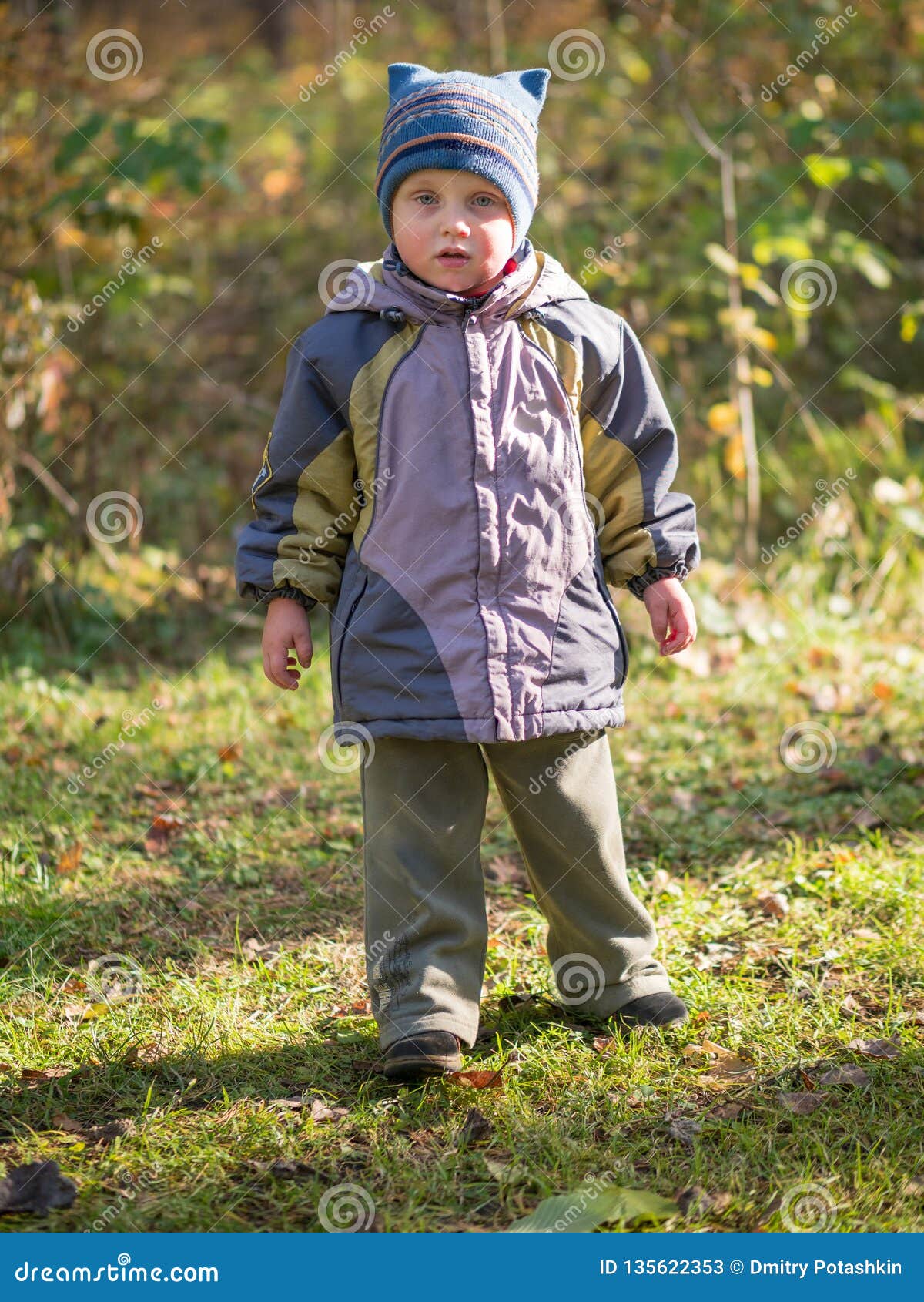 A Little Boy Stands in the Autumn Forest Stock Image - Image of child ...