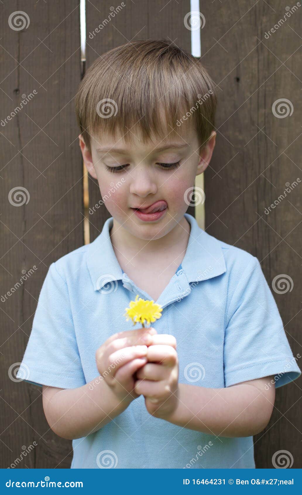 Little Boy with Yellow Flower Stock Image - Image of single, male: 16464231