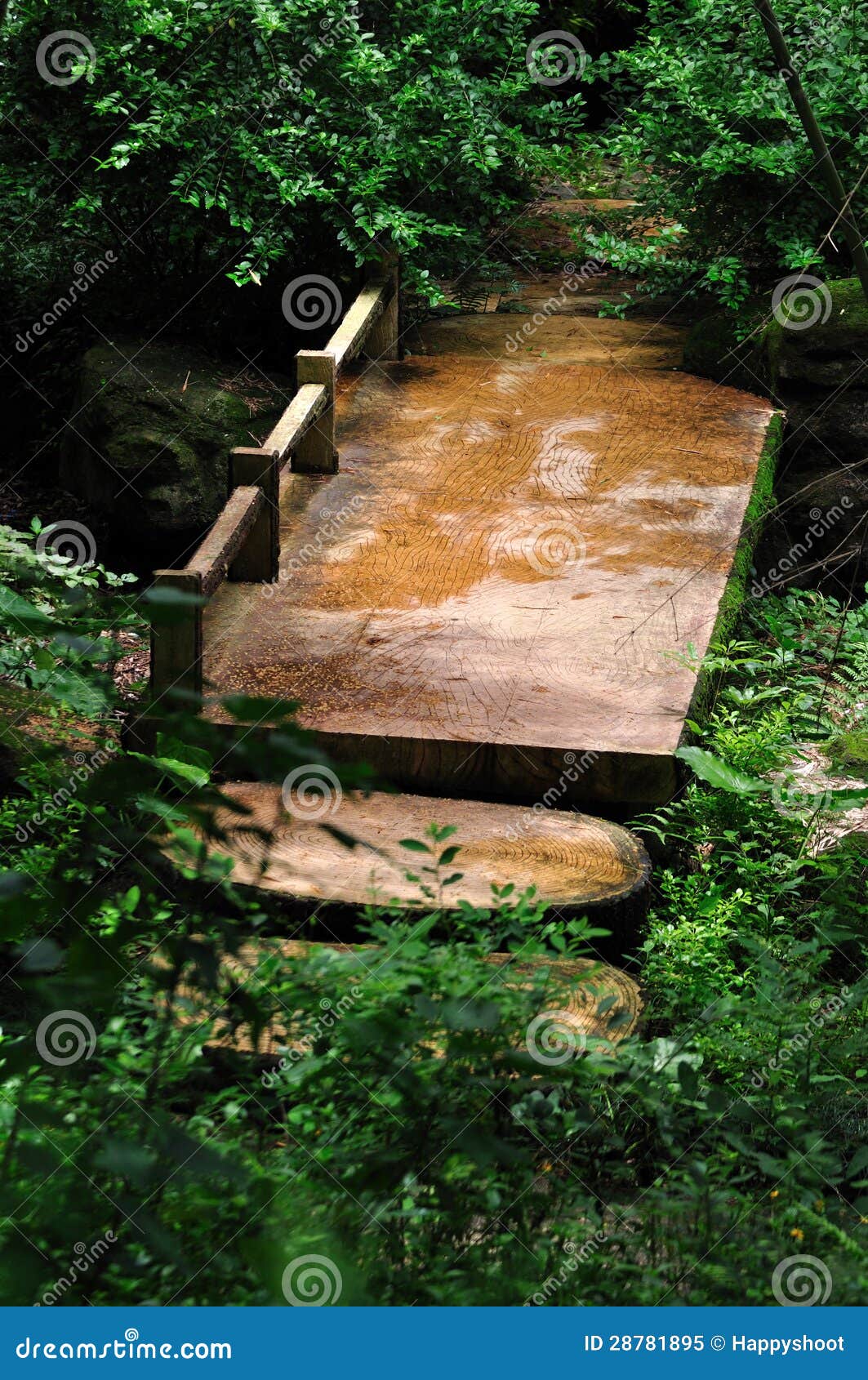 Little bridge stock image. Image of silence, forest, leaves - 28781895