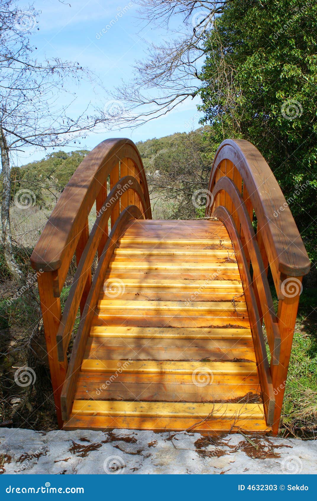 Little bridge stock image. Image of leaves, forest, park - 4632303