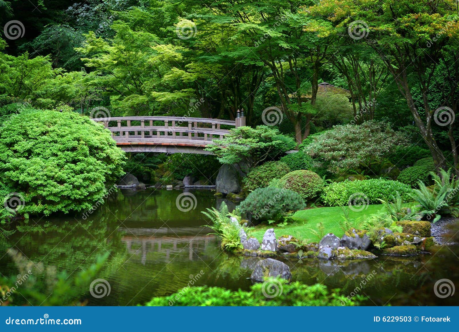 Little bridge stock image. Image of flowers, bridge, walkway - 6229503