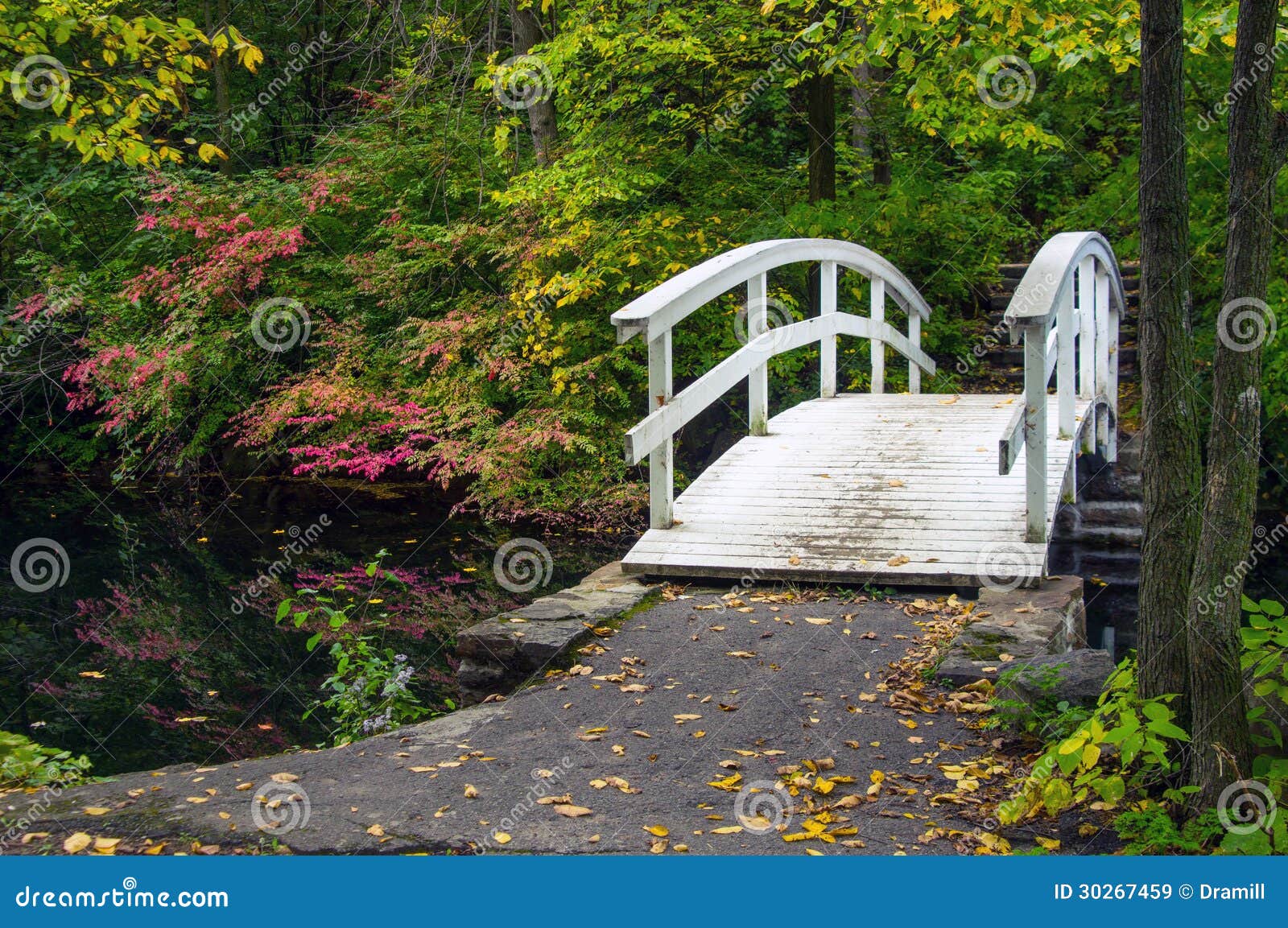 Little Bridge stock image. Image of nature, water, fall - 30267459