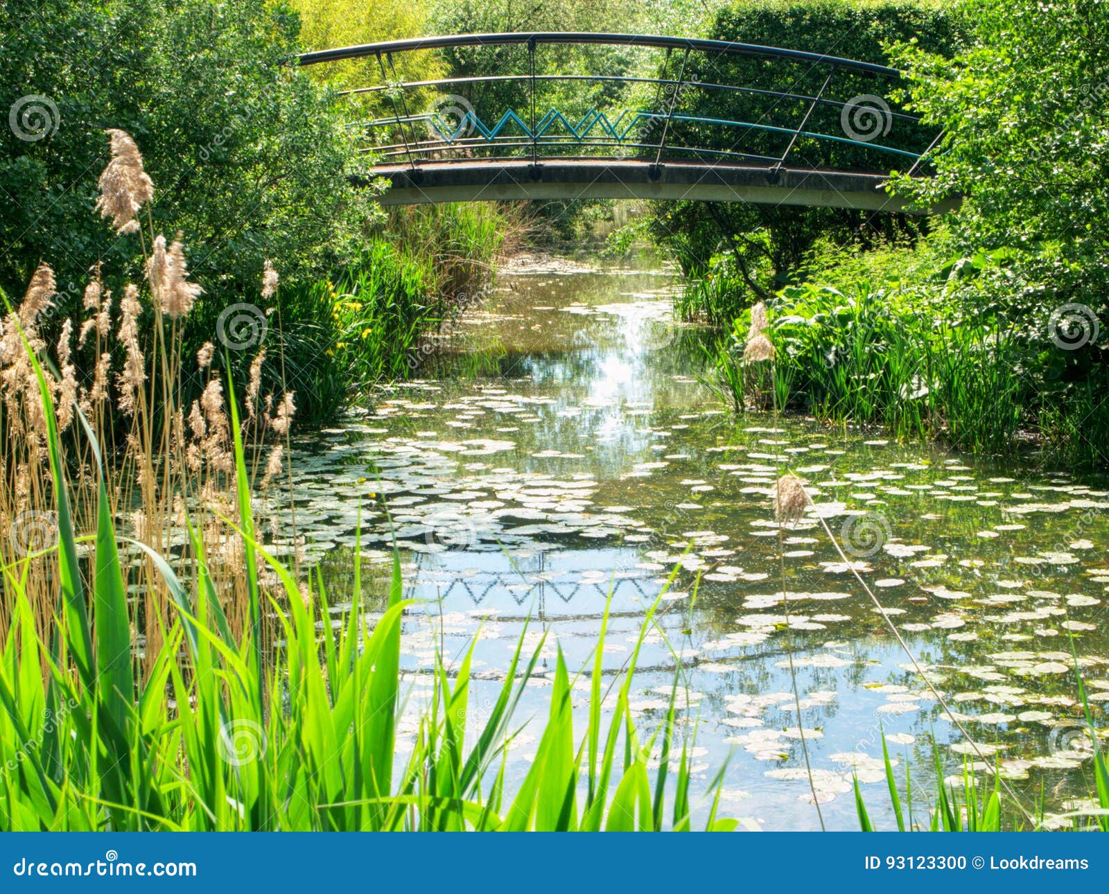 Little bridge stock photo. Image of waterlily, netherlands - 93123300