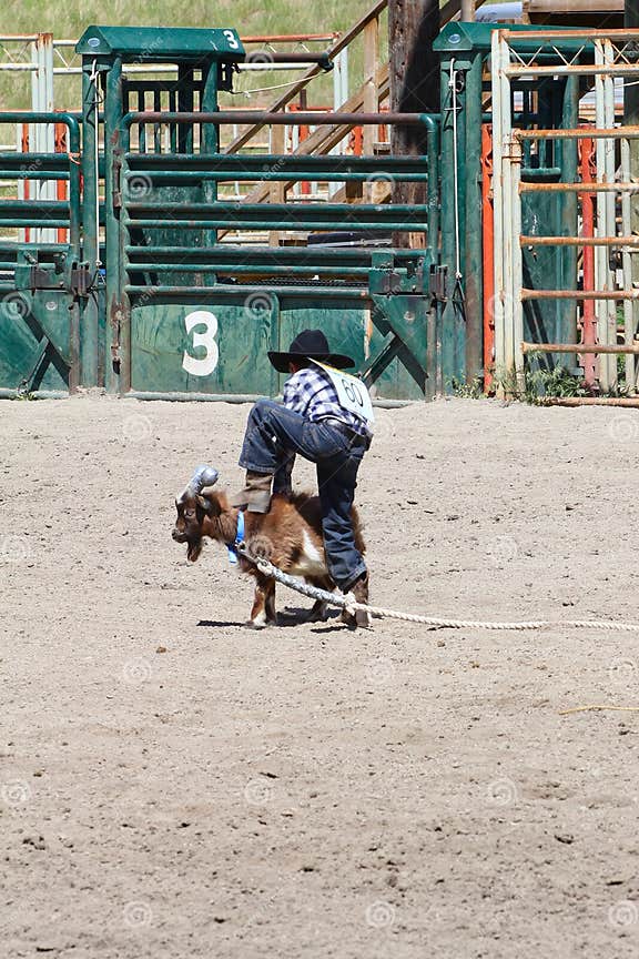 Little Britches Rodeo editorial stock photo. Image of event - 26690938