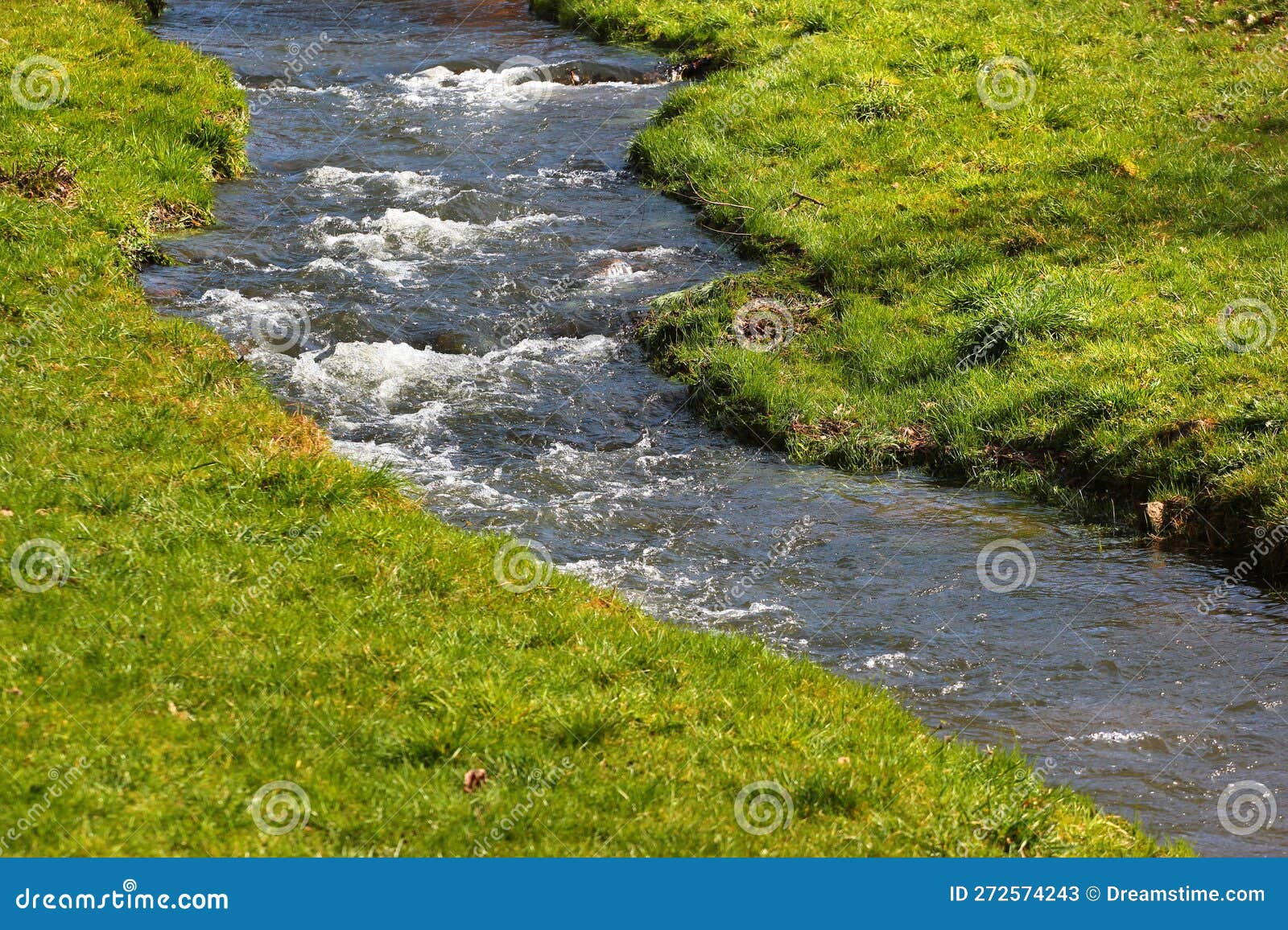 Little Brook Flowing in Green Meadows, Spring Natural Background Stock ...