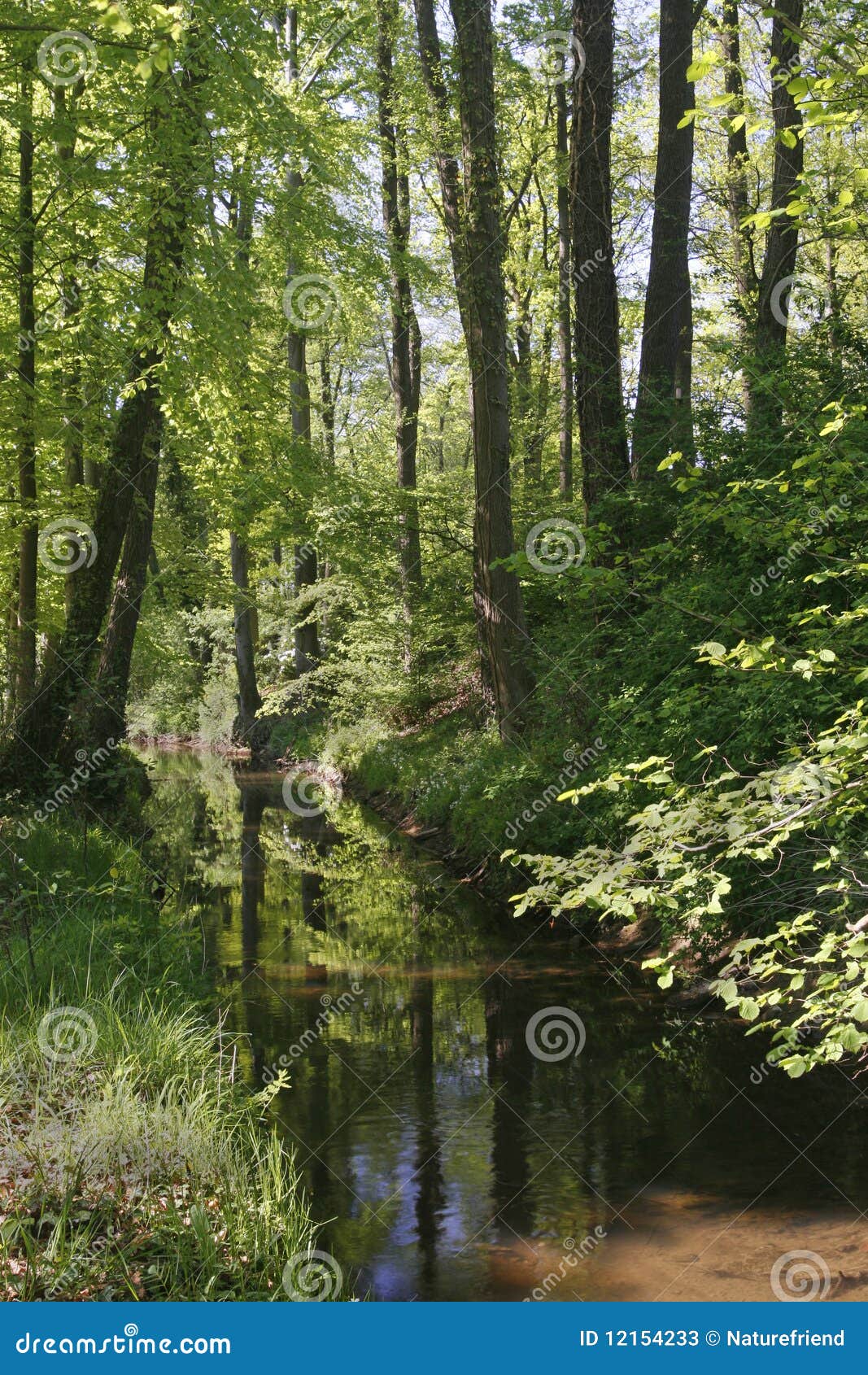 Little Brook in Spring, Germany Stock Image - Image of springtime ...