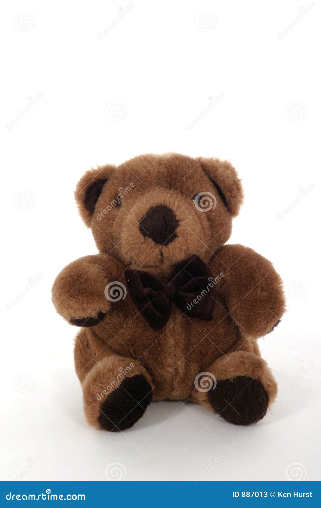 Little Brown Teddy Bear stock image. Image of soft, infant - 887013