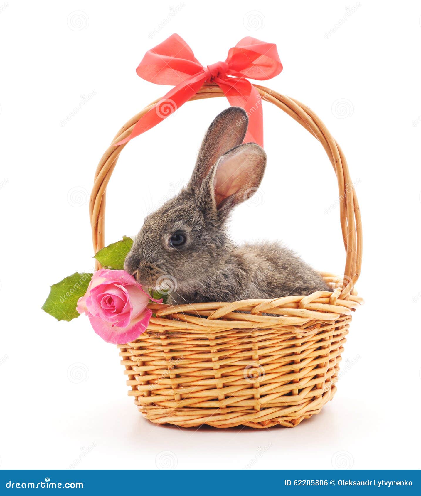 Little Bunny in a Basket with a Rose. Stock Photo - Image of pets ...