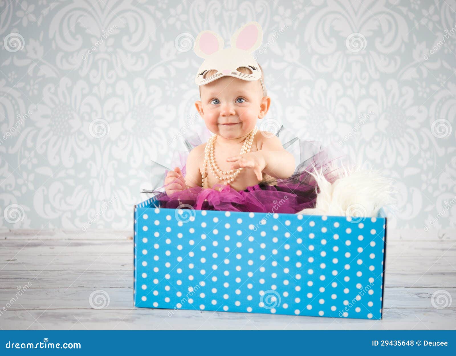 Little bunny in the box stock photo. Image of hardwood - 29435648
