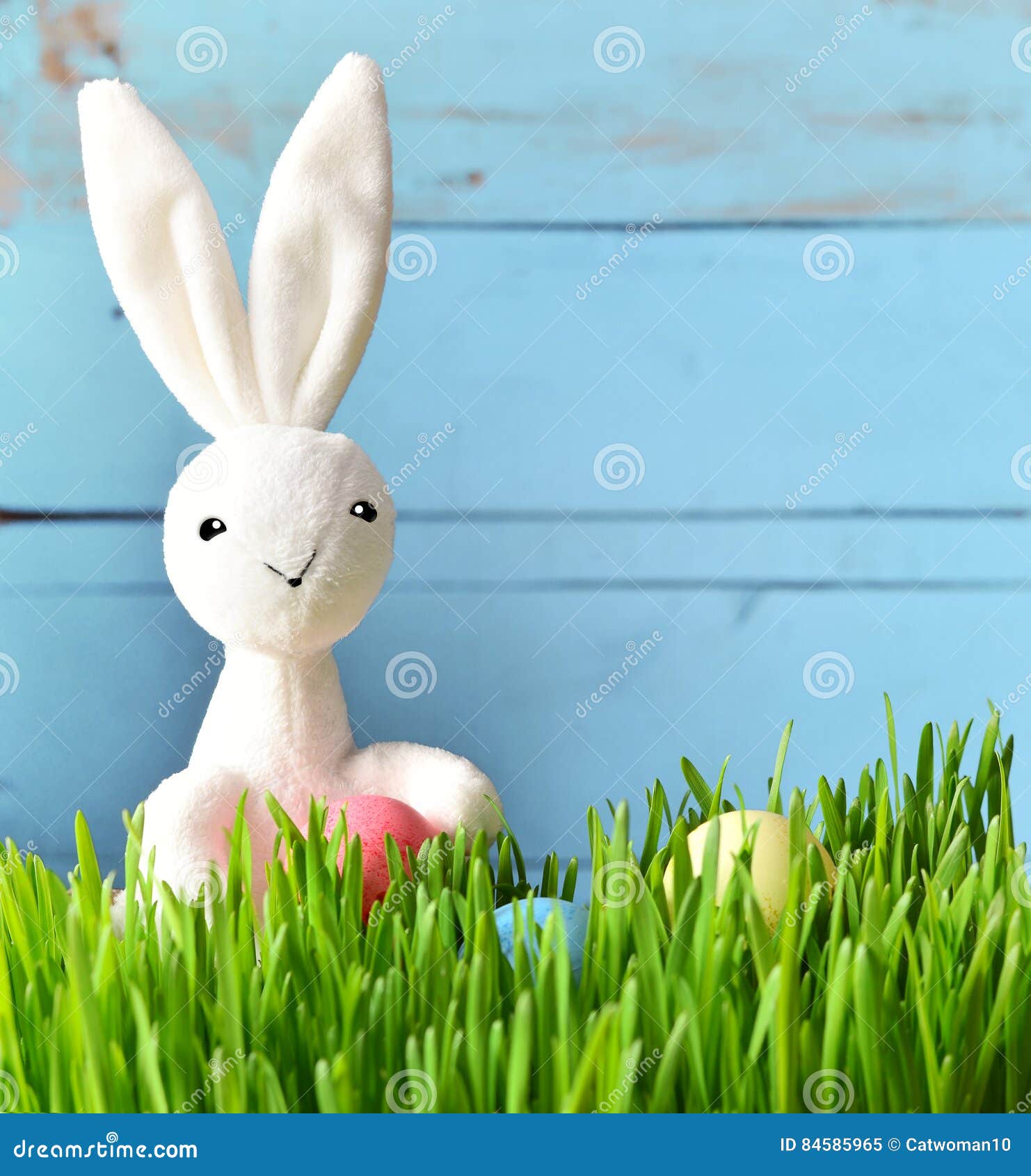 Little Bunny and Easter Eggs on Green Grass Stock Image - Image of ...