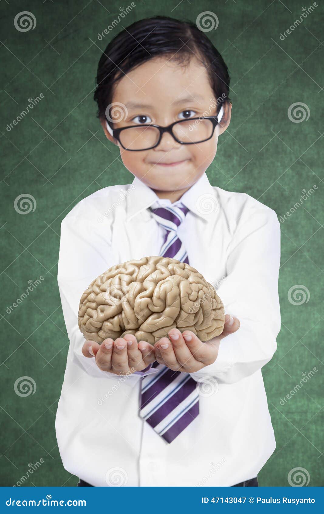 Little Businessman Holds Brain Stock Image - Image of brain, leadership ...