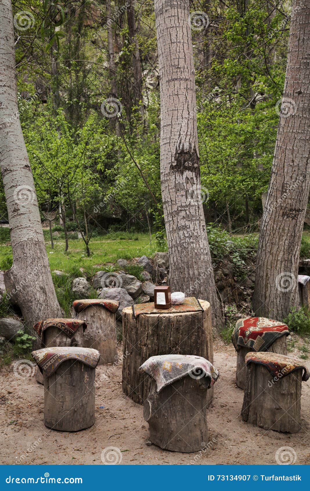 Little Cafe of Tree Trunks. Stock Image - Image of environment ...