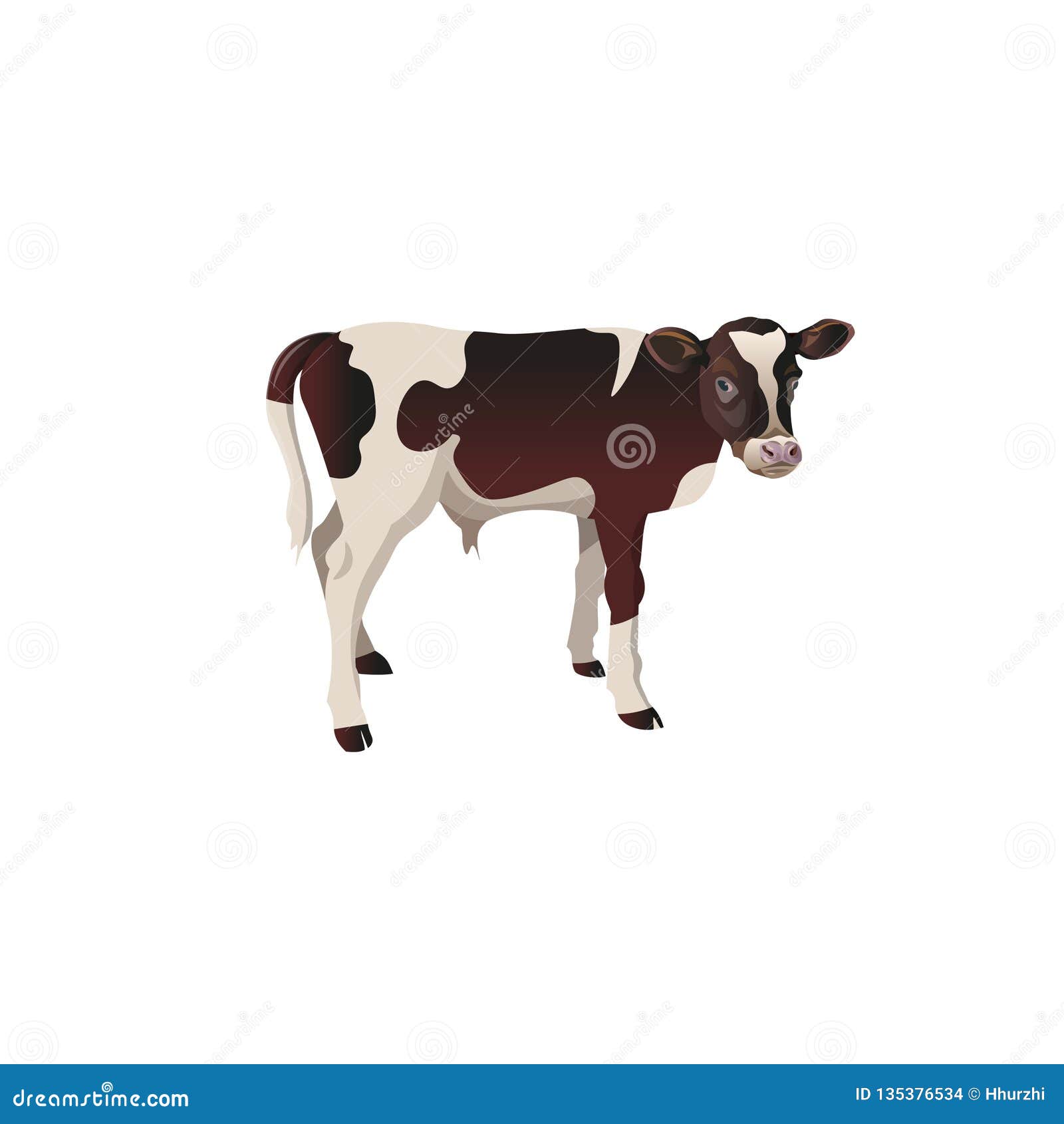 Calf cow vector stock vector. Illustration of farm, farming - 135376534