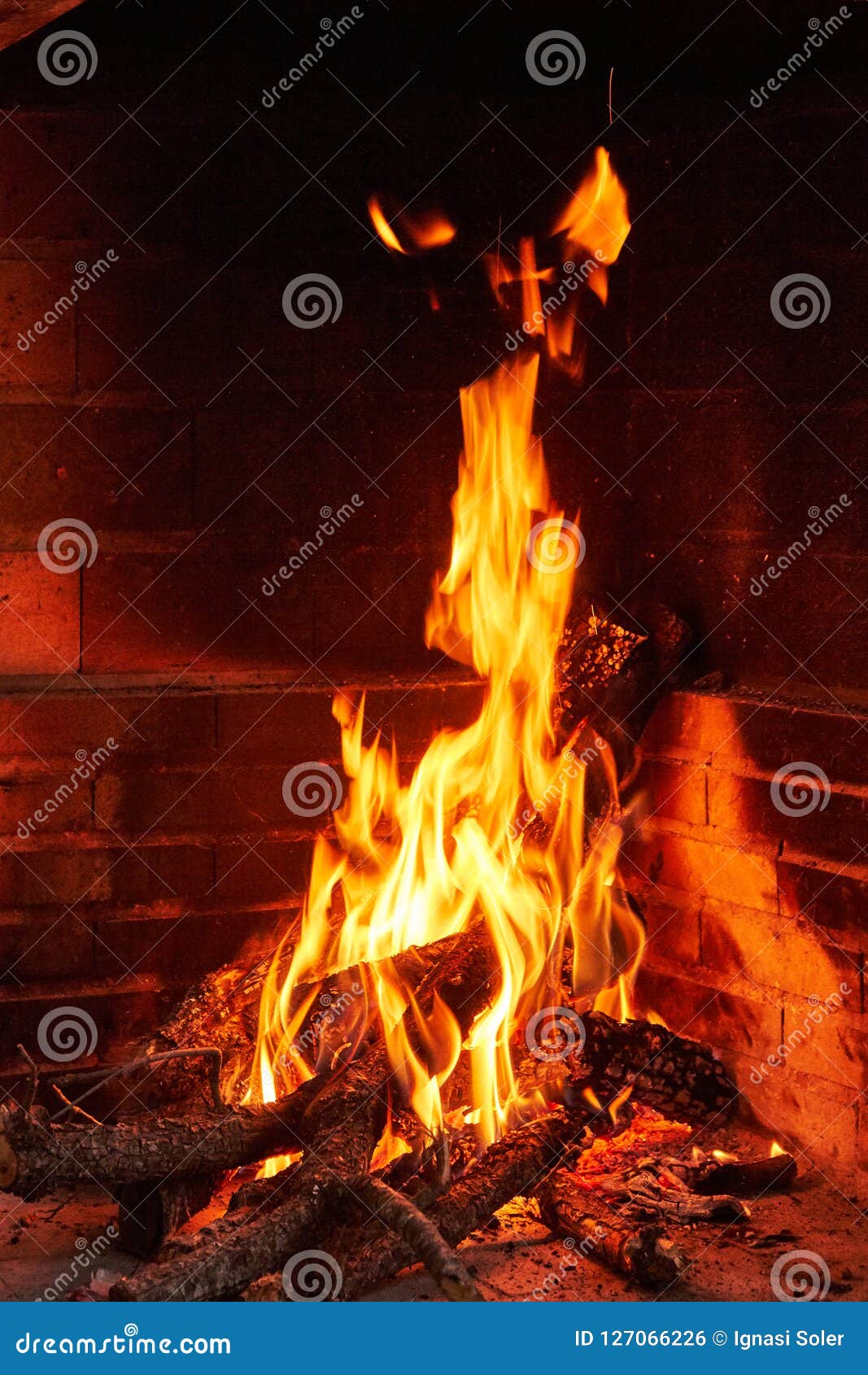 Little campfire for a bbq stock photo. Image of bonfire - 127066226