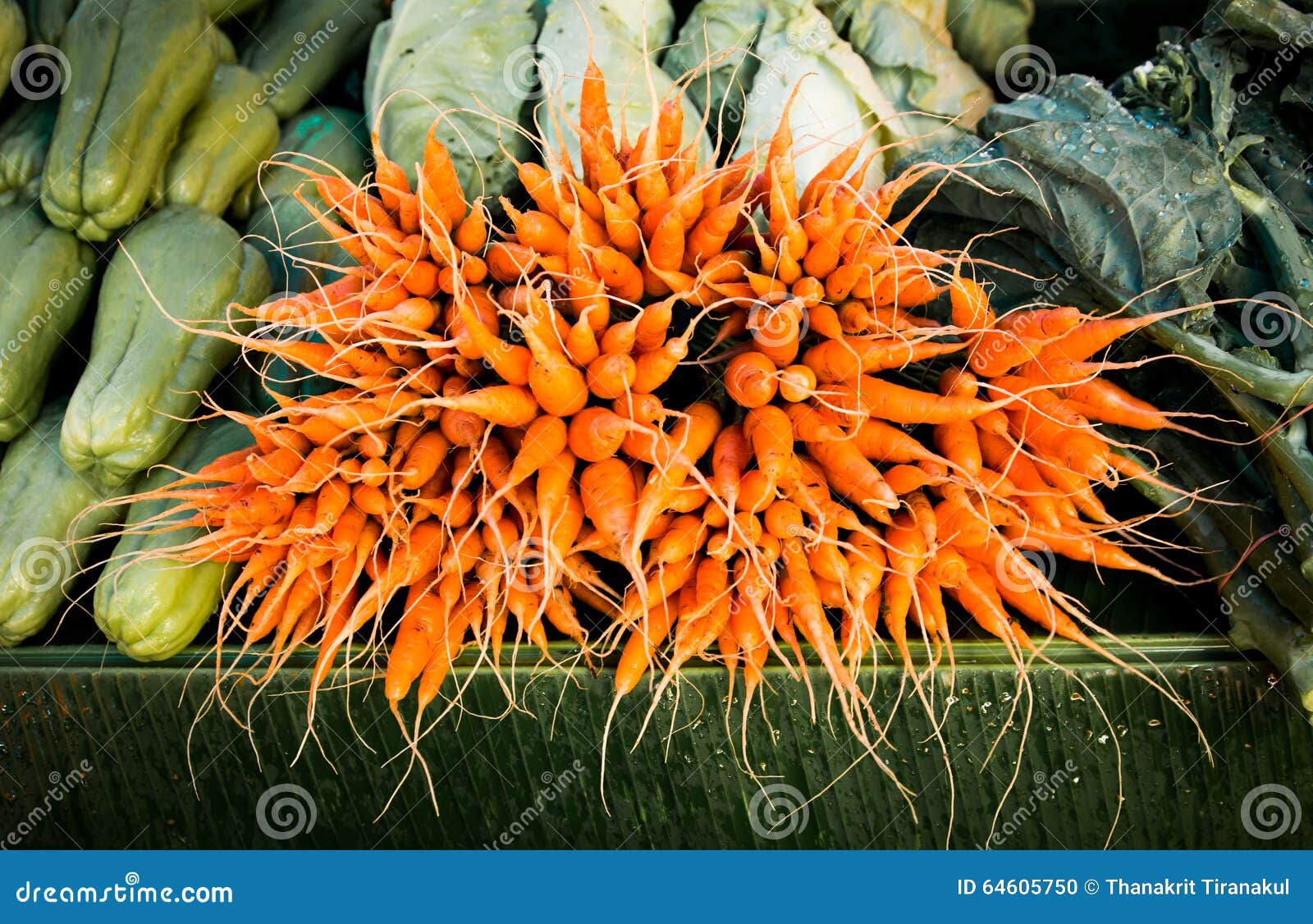 Little carrot stock photo. Image of beautiful, small - 64605750