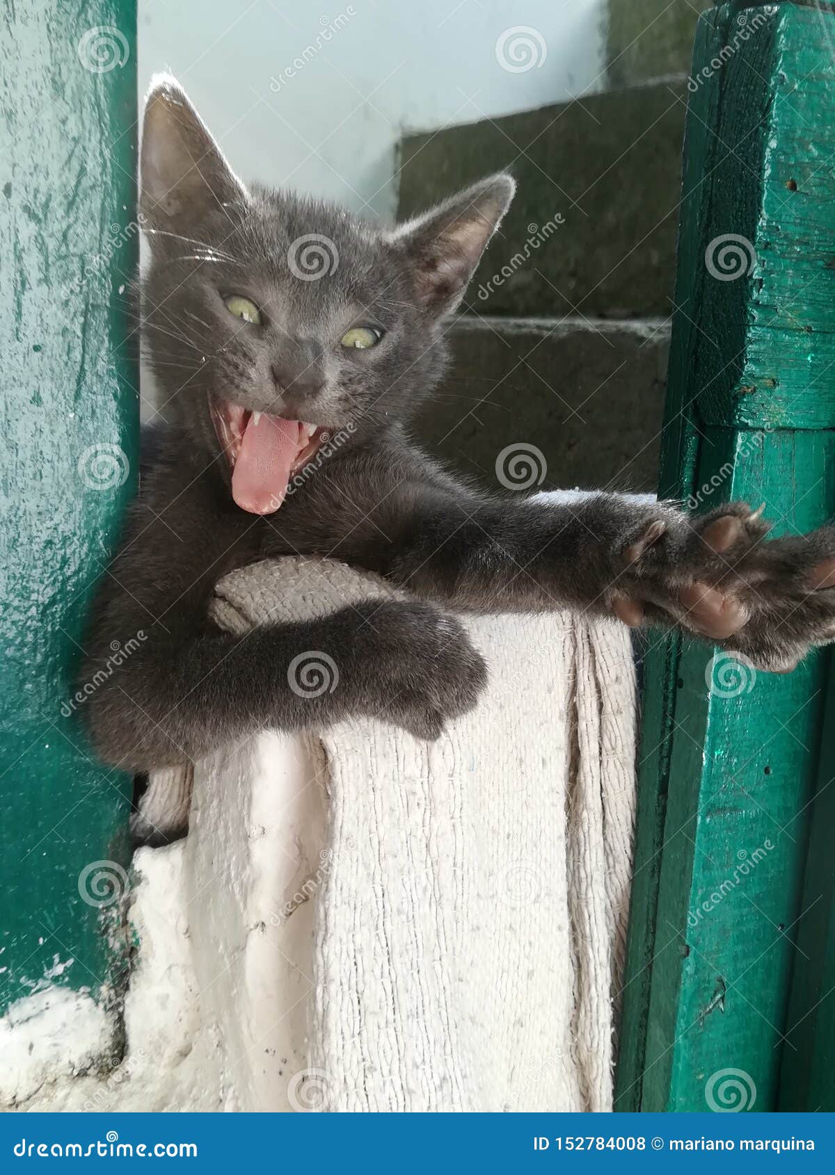 Lindo Jamas Stock Photos - Free & Royalty-Free Stock Photos from Dreamstime