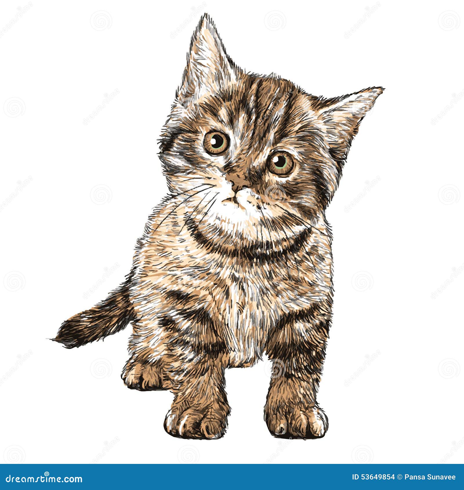 Little cat stock vector. Illustration of doodle, mammal - 53649854