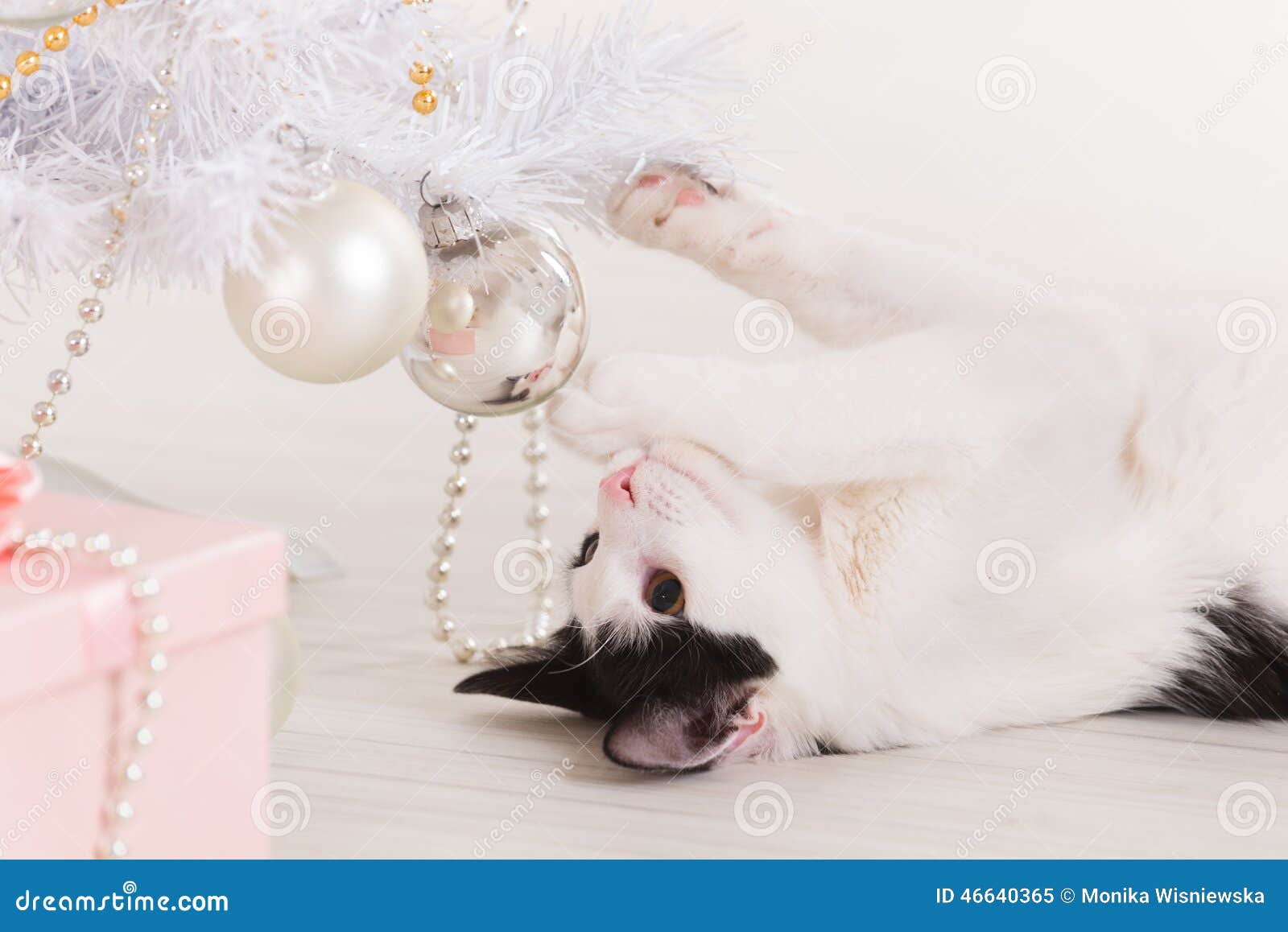 Little Cat Playing with Christmas Tree Ornaments Imagen de archivo ...