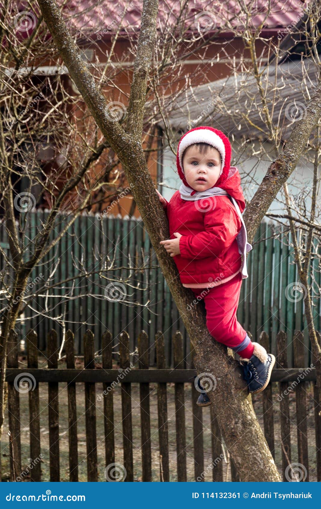A Little Charming Girl in Red Dressed Up on a Tree between Two Branches ...